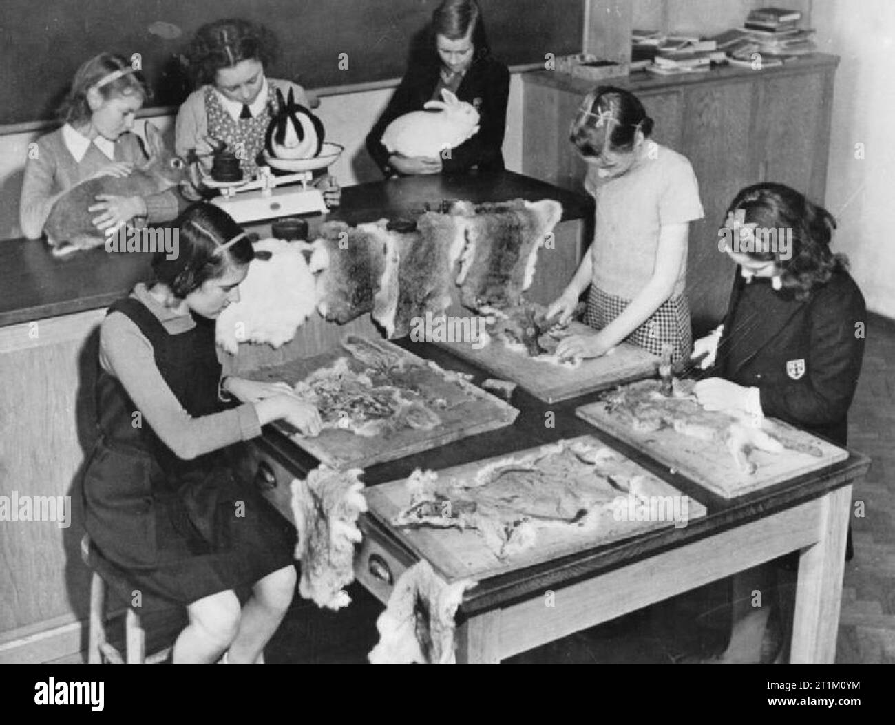 The Civilian Evacuation Scheme in the Second World War These evacuated schoolchildren practise ...