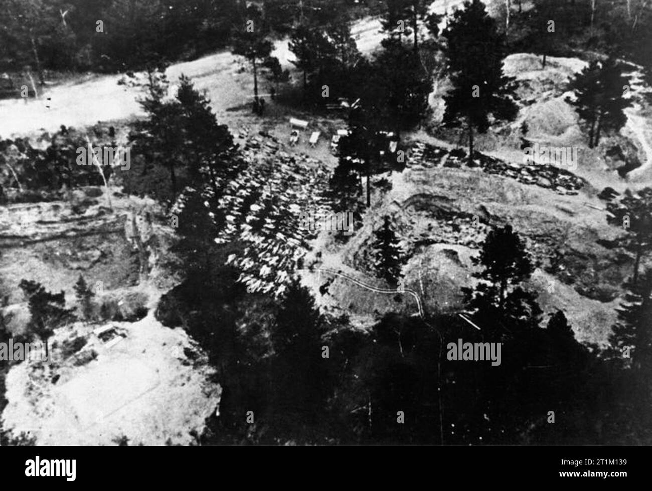 The Katyn Massacre, 1940 Aerial view of the exhumation site with rows ...