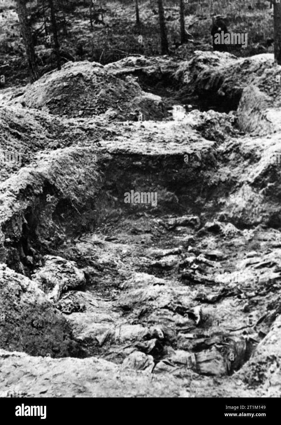 The Katyn Massacre, 1940 German sentry overlooking one of the open mass ...
