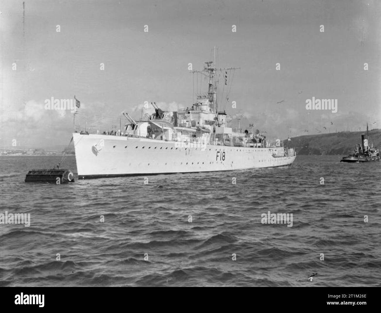 British Black Swan class sloop HMS Flamingo, in Plymouth Sound Stock ...