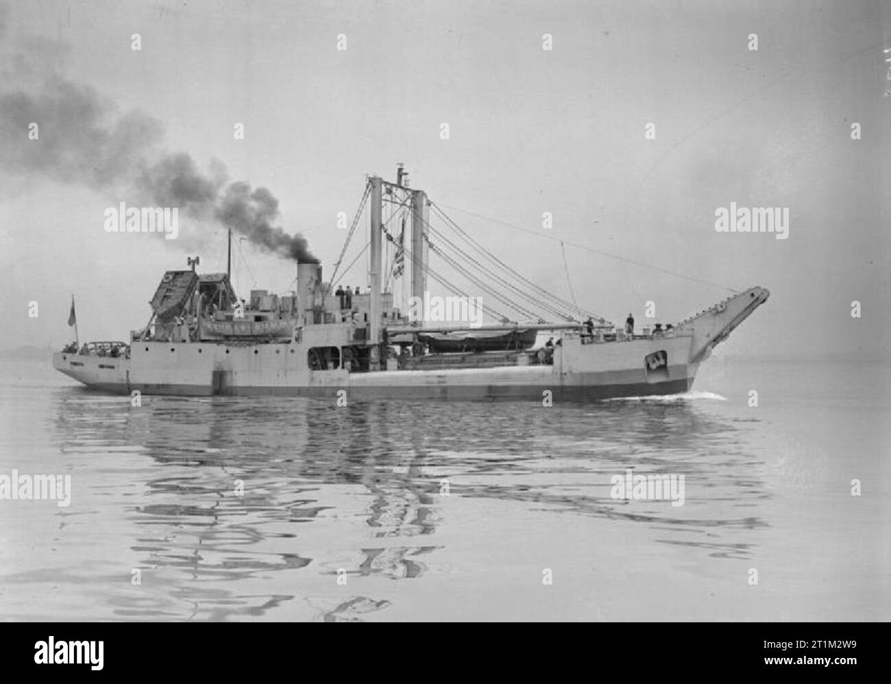 Swin Black and White Stock Photos & Images - Alamy