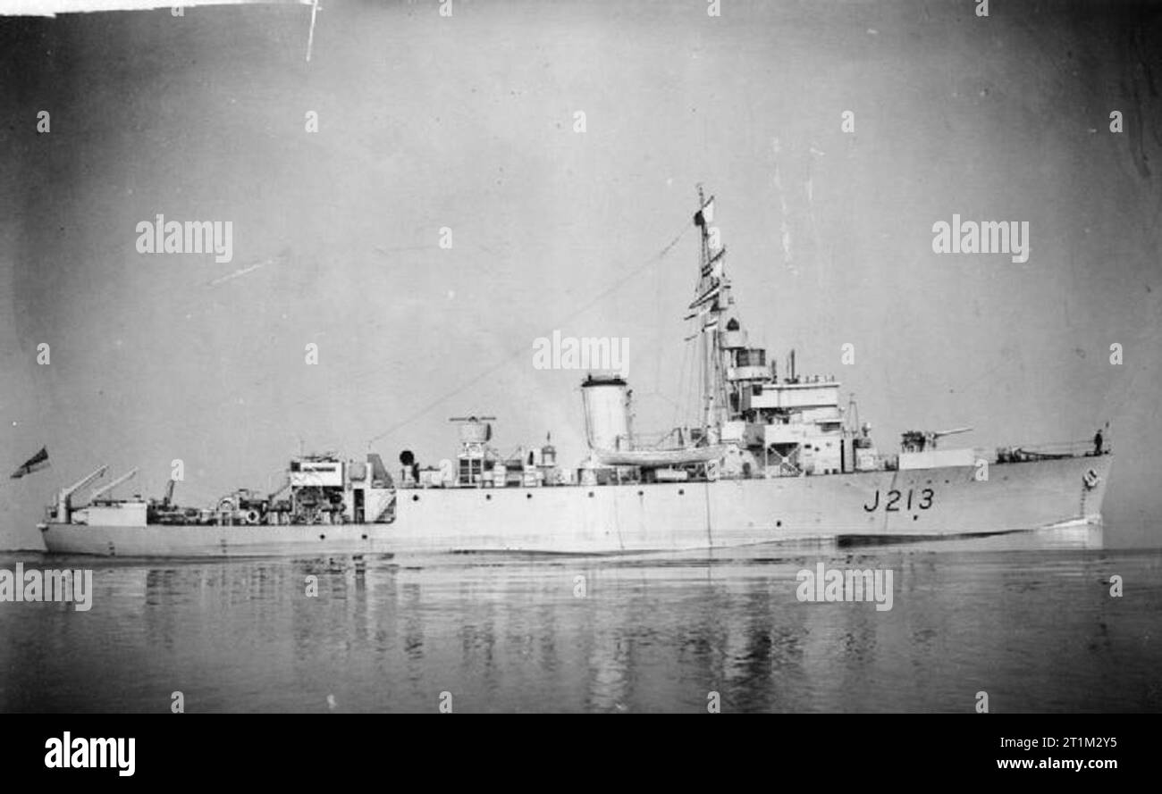 Algerine hi-res stock photography and images - Alamy