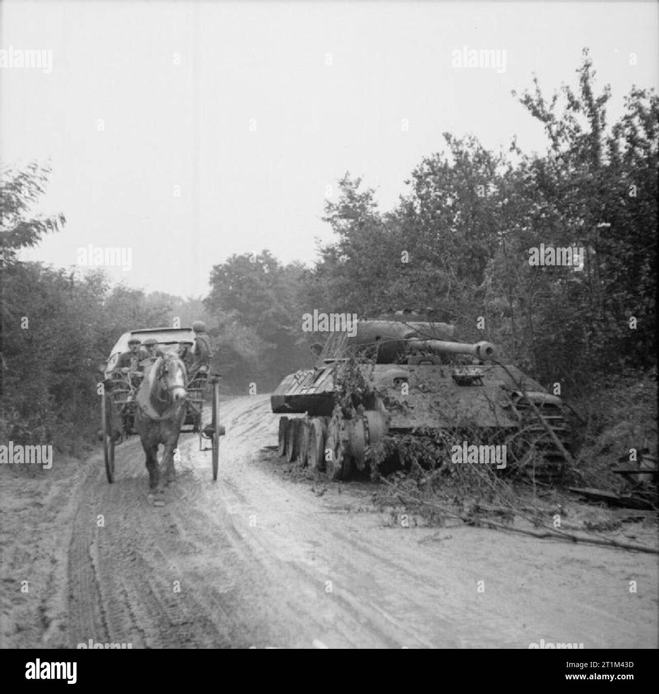 The British Army in Normandy 1944 French civilians in a pony and trap ...