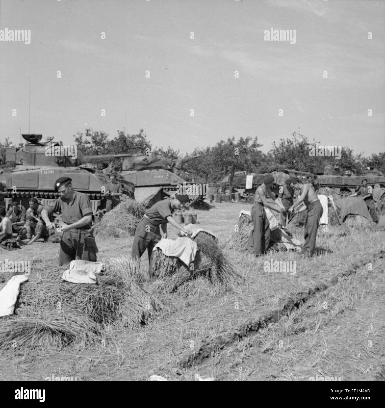 The British Army in Normandy 1944 Sherman tank crews of 8th Armoured ...