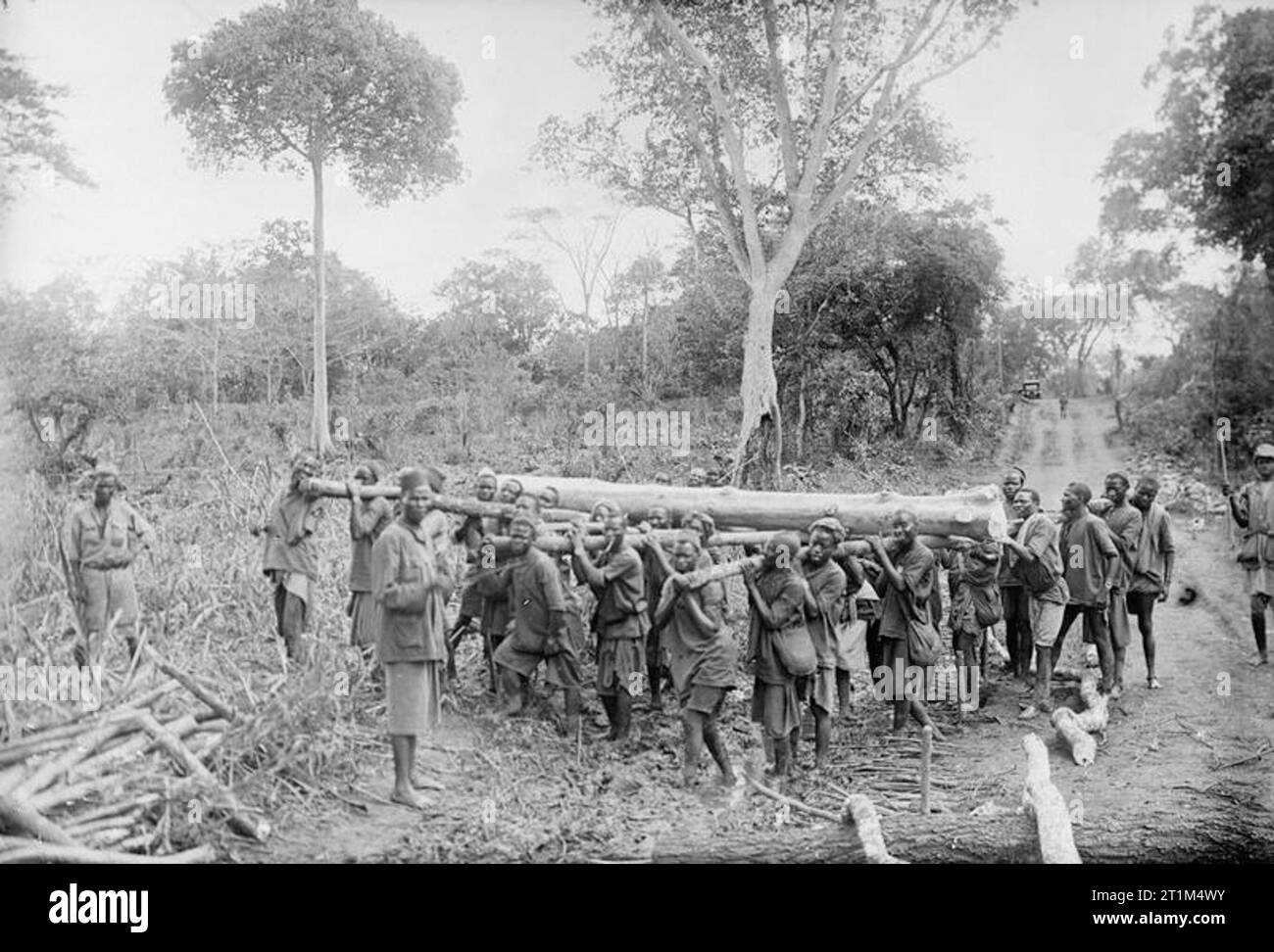 Ministry of Information First World War Official Collection German East ...