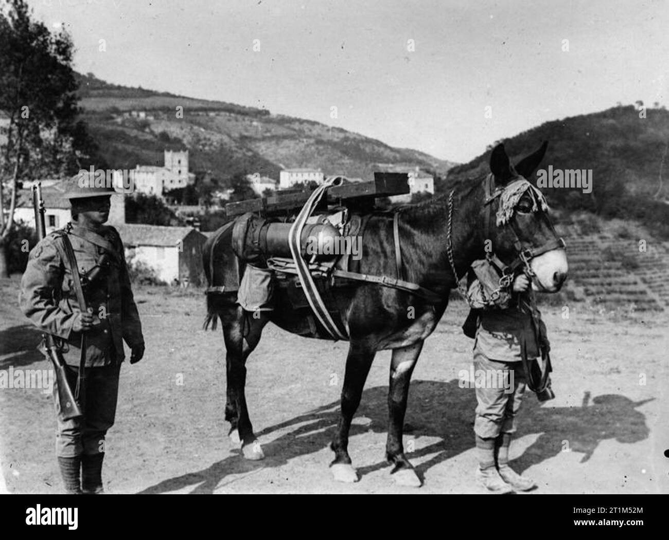 Ministry of Information First World War Official Collection Pack mule ...