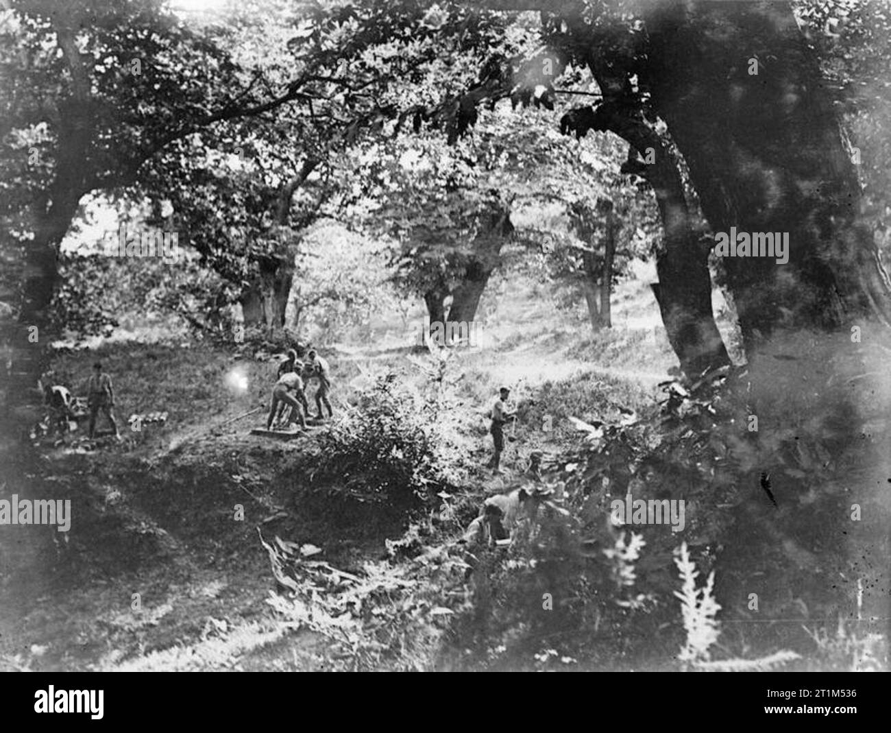 Ministry of Information First World War Official Collection Getting a ...