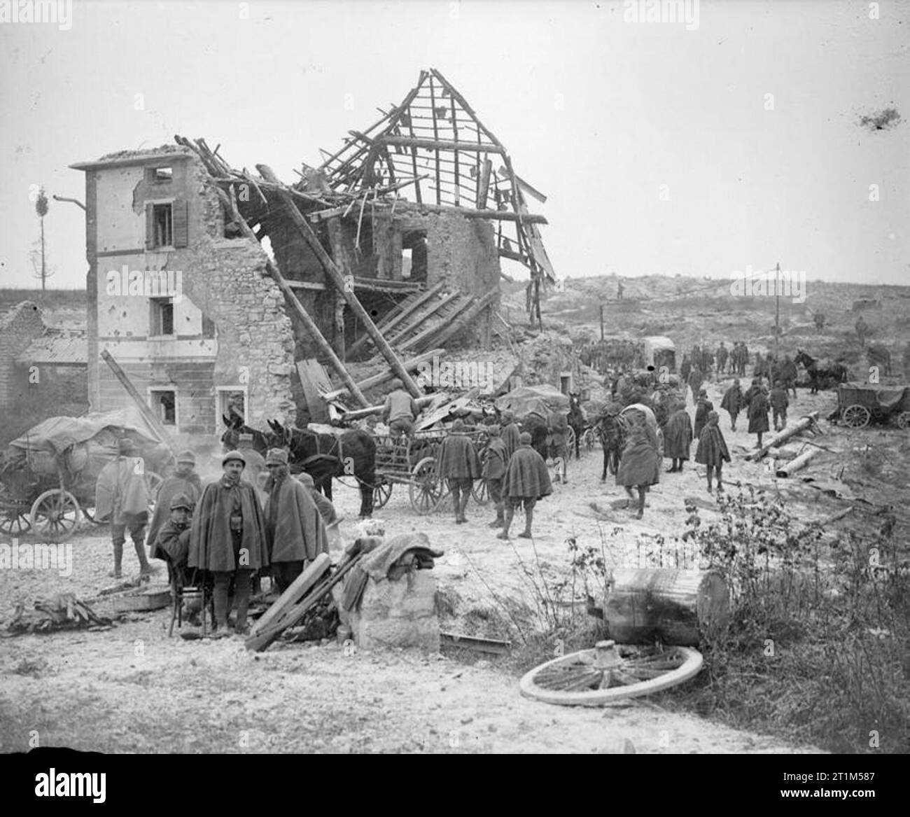 Ministry of Information First World War Official Collection Italian ...