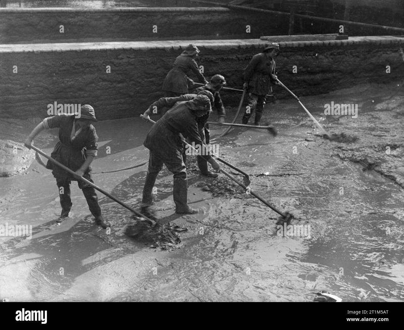 Ministry of Information First World War Official Collection Women ...