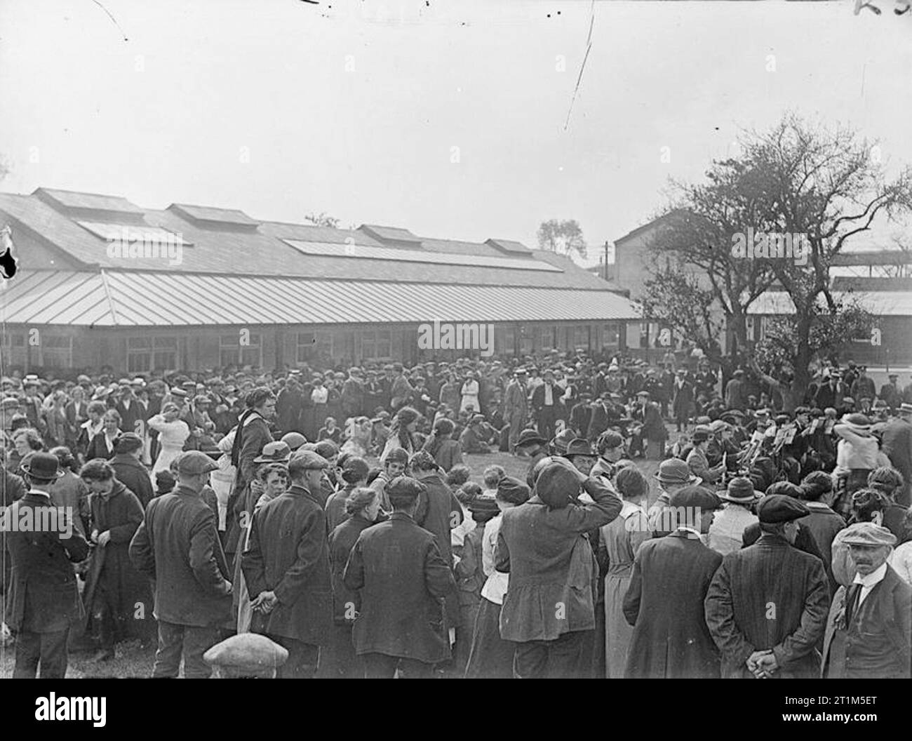 Ministry of Information First World War Official Collection Band ...
