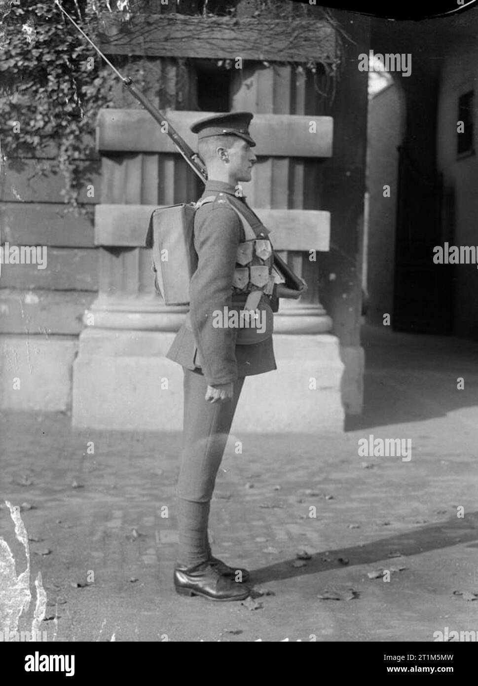 Ministry of Information First World War Official Collection Private ...