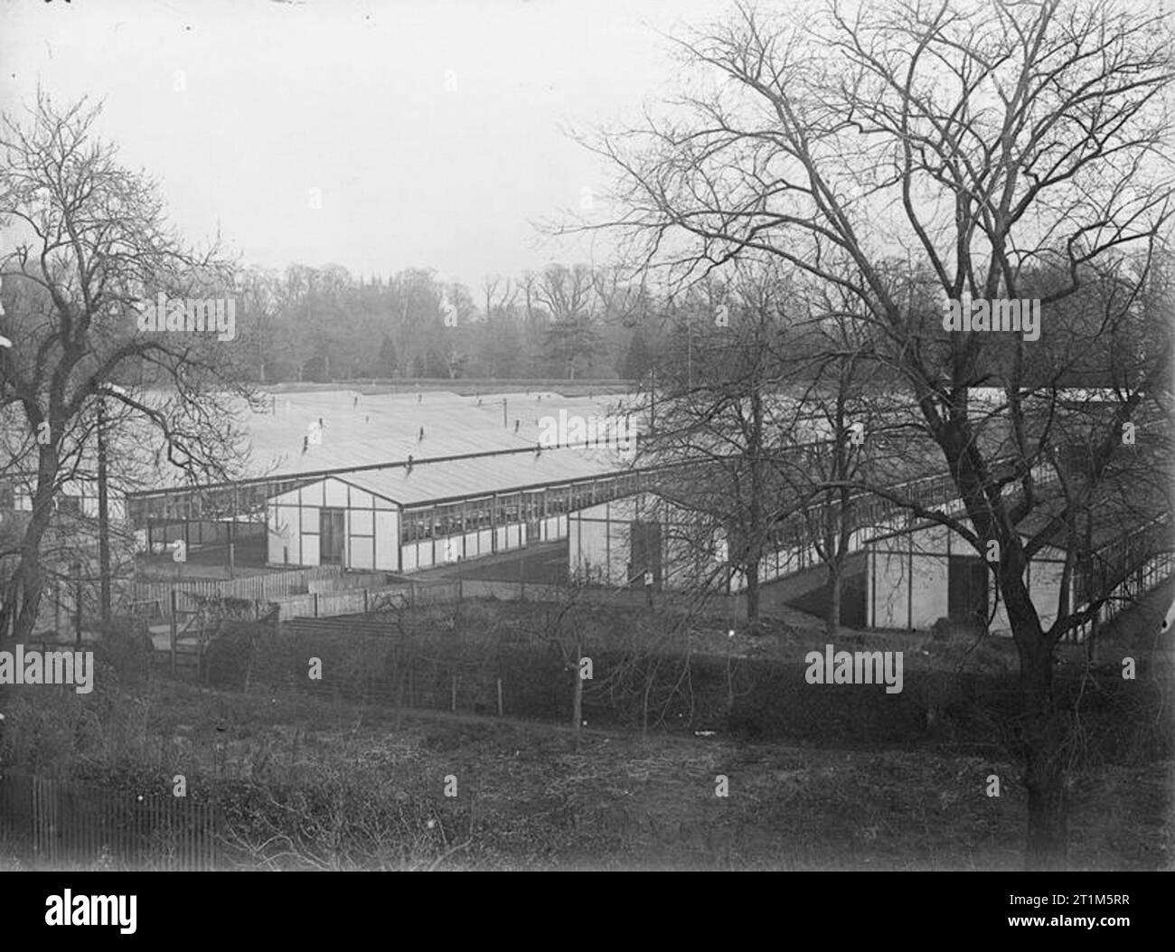 Ministry of Information First World War Official Collection Exterior ...