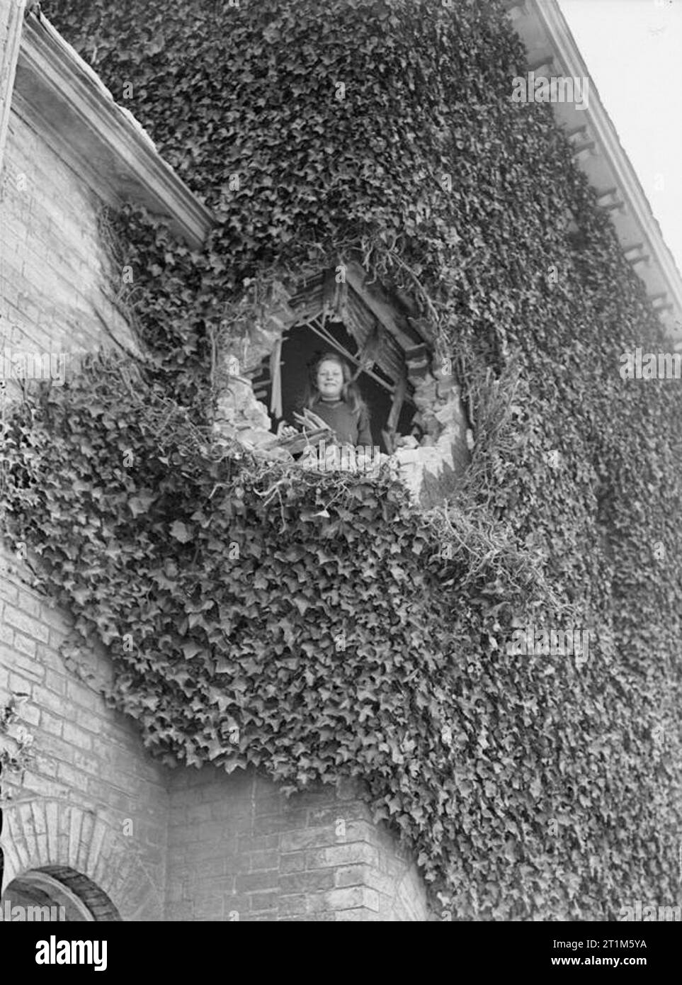 Ministry of Information First World War Official Collection Damage to ...