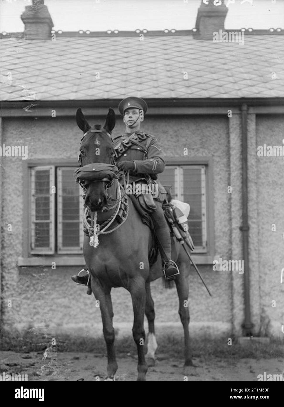 Ministry of Information First World War Official Collection Trooper ...