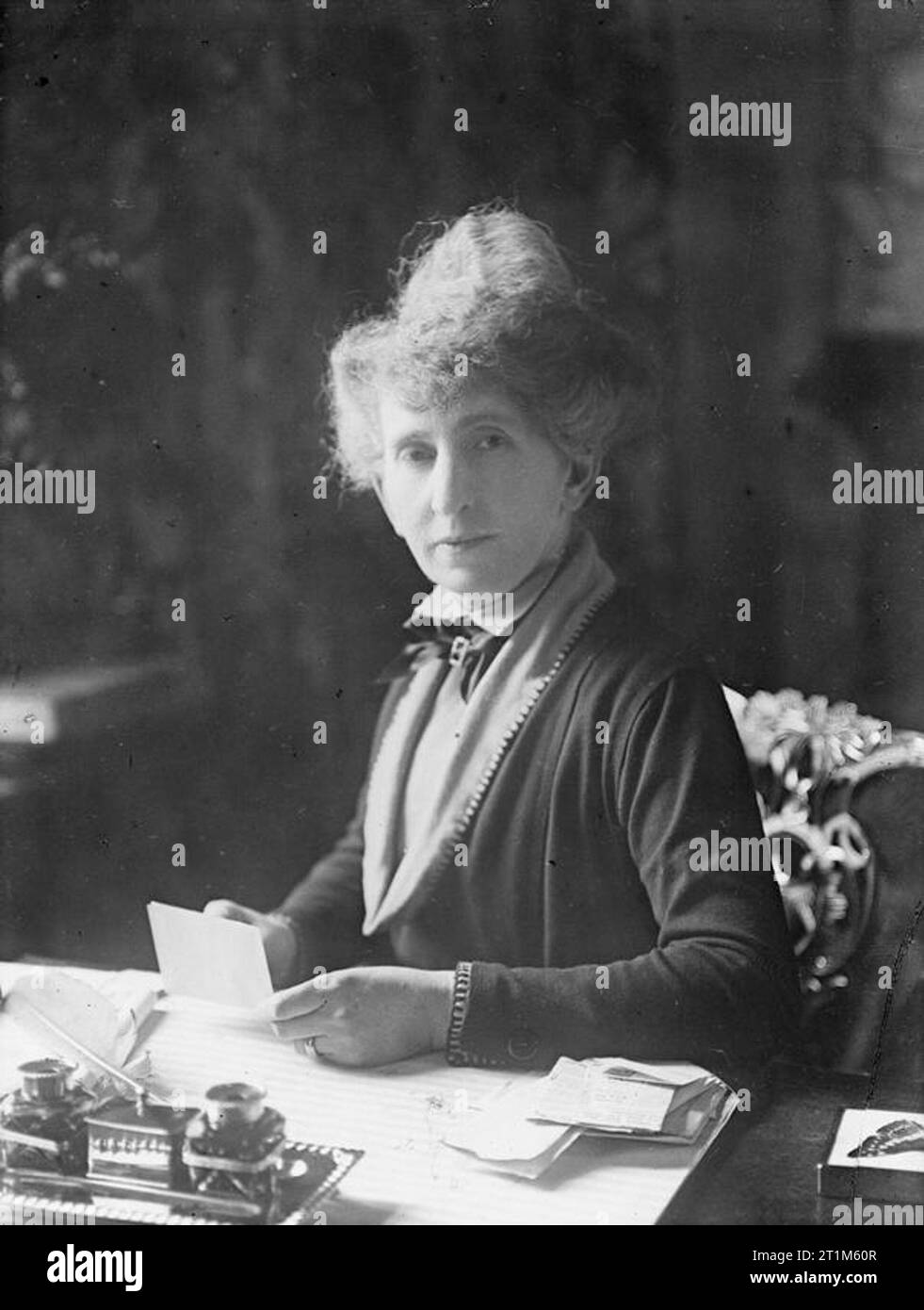 Ministry of Information First World War Official Collection Lady ...