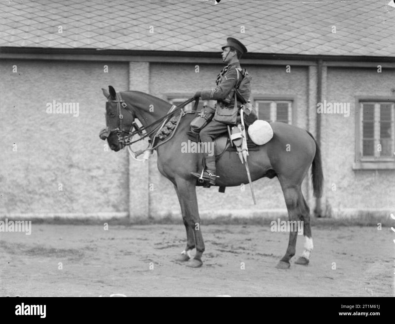 Ministry of Information First World War Official Collection Trooper ...