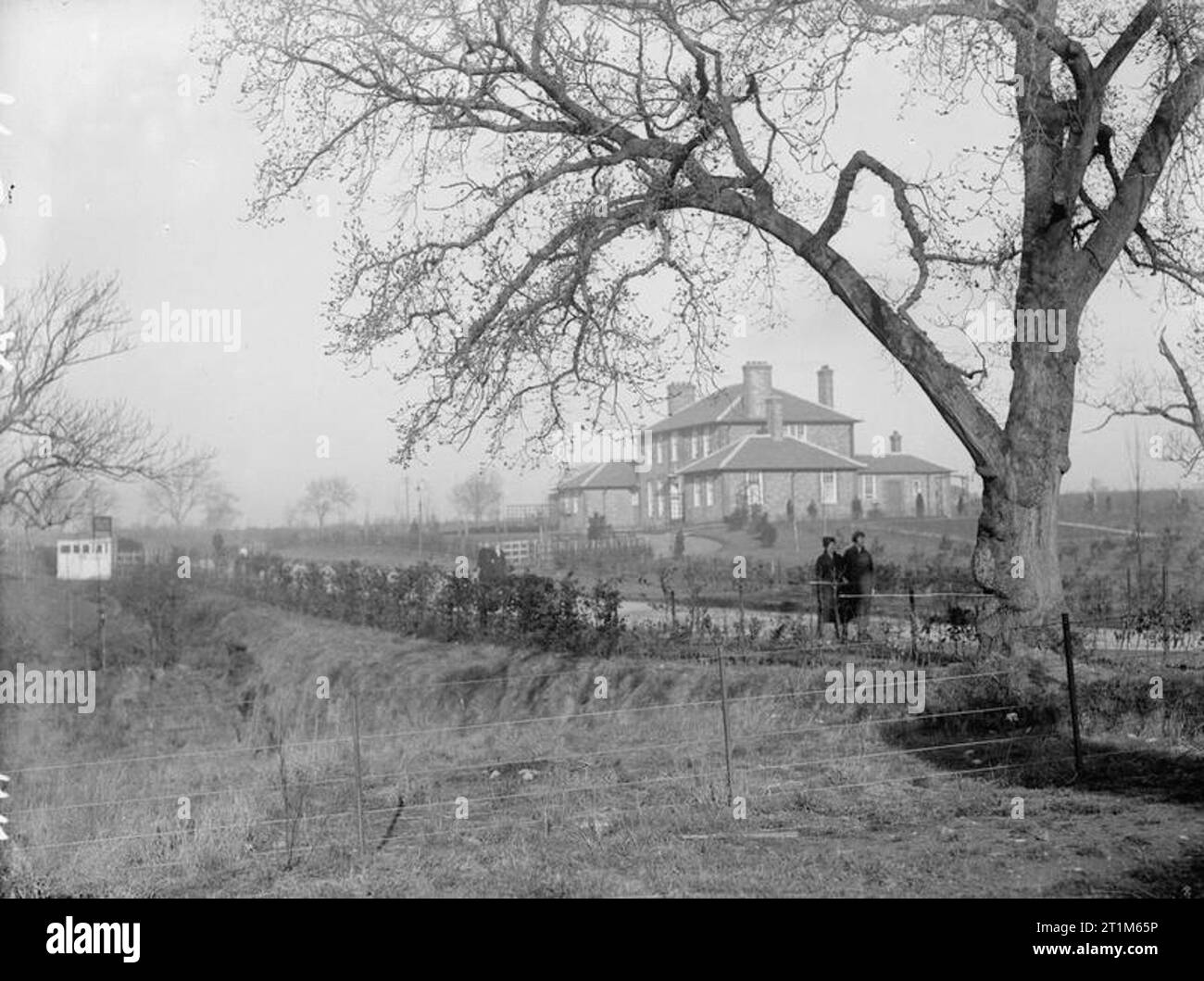 Ministry of Information First World War Official Collection The doctors ...