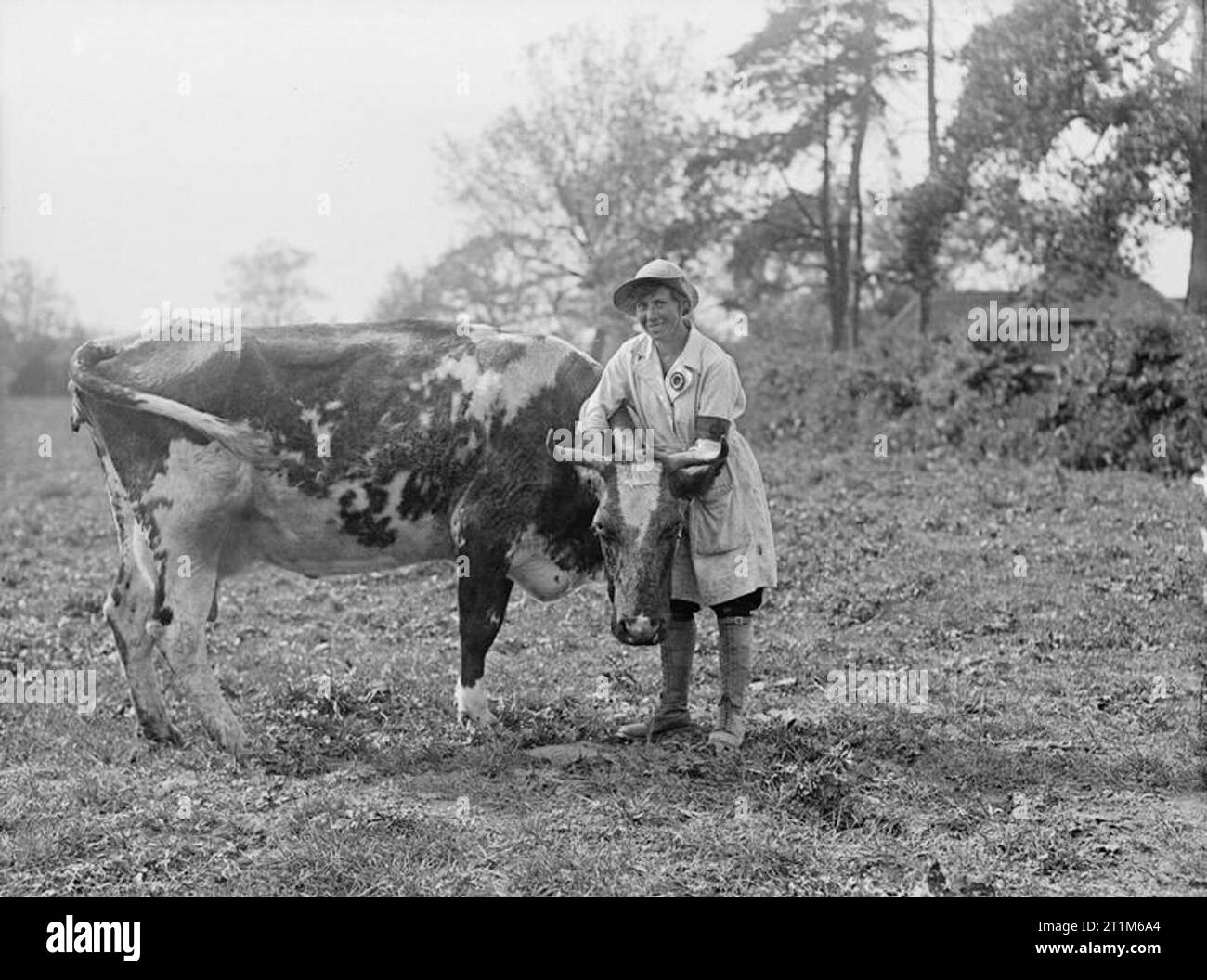 Ministry of Information First World War Official Collection Member of ...