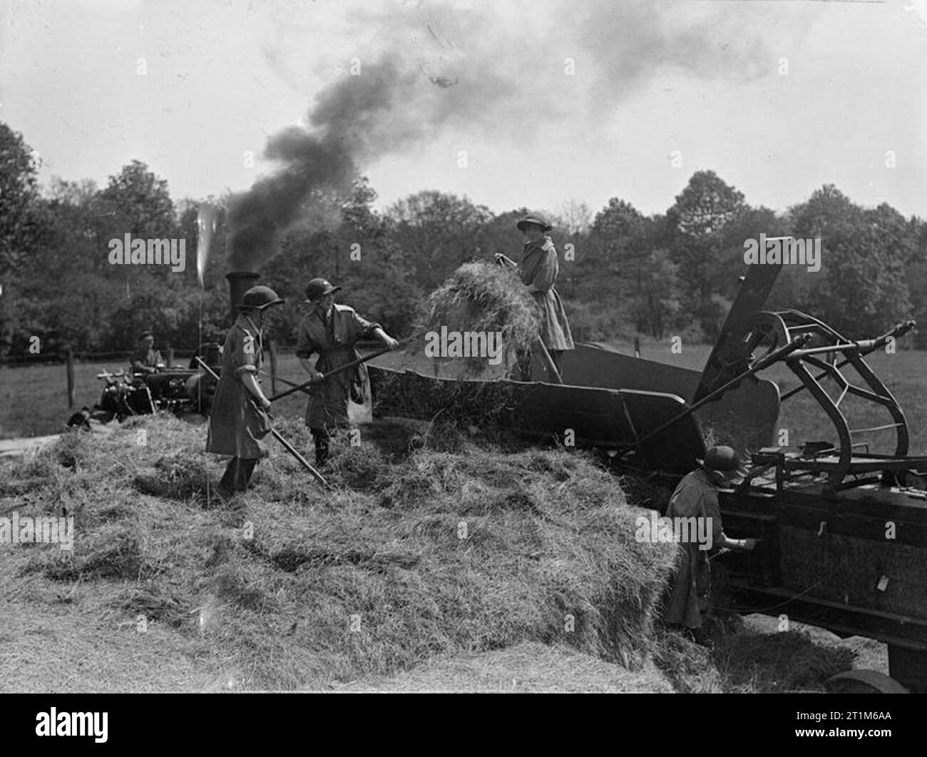Ministry of Information First World War Official Collection Member of ...