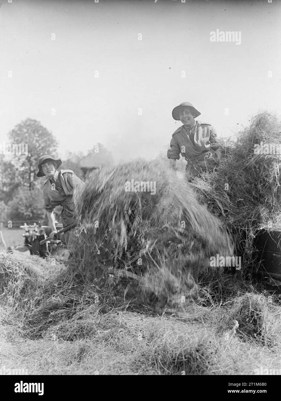 Ministry of Information First World War Official Collection Member of ...