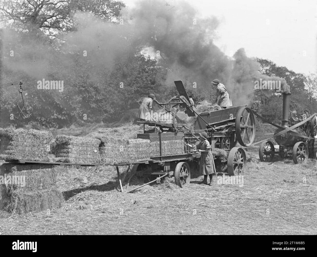 Ministry of Information First World War Official Collection Members of ...