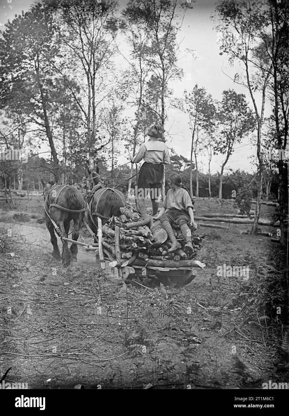 First sledge Black and White Stock Photos & Images - Alamy