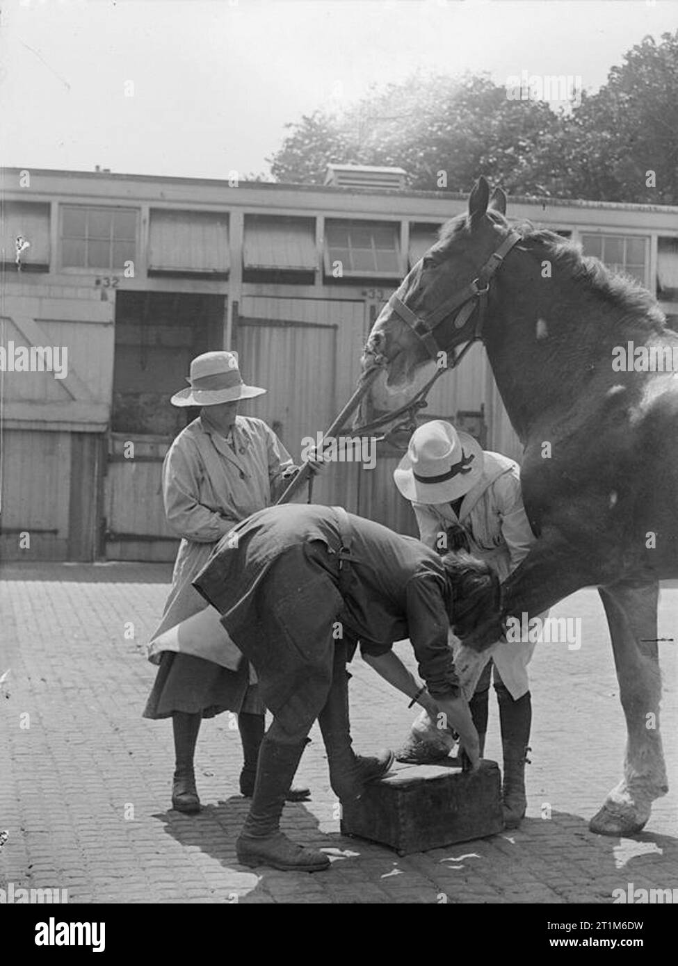 Ministry of Information First World War Official Collection Woman ...