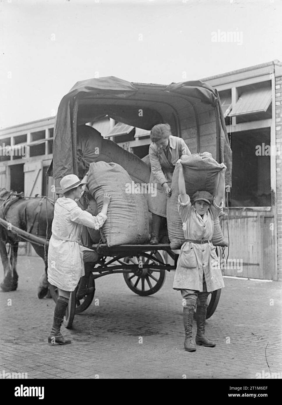Ministry of Information First World War Official Collection Woman ...