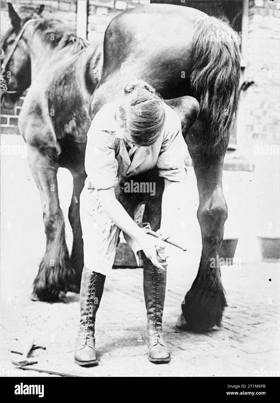 Ministry of Information First World War Official Collection Woman ...
