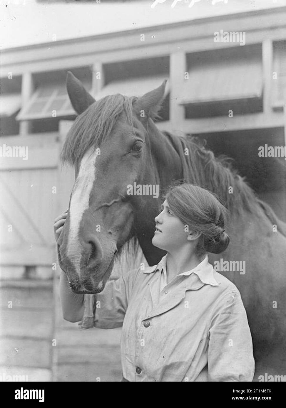 Ministry of Information First World War Official Collection Woman ...