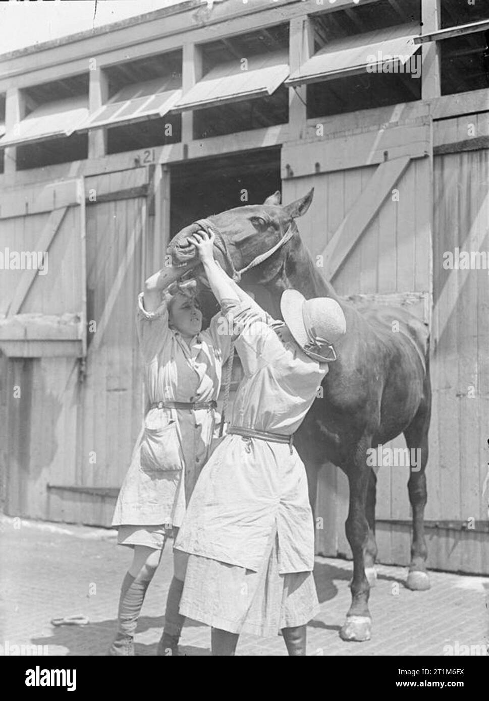 Ministry of Information First World War Official Collection Woman ...