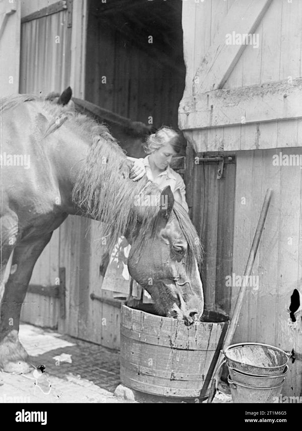 Ministry of Information First World War Official Collection Woman ...