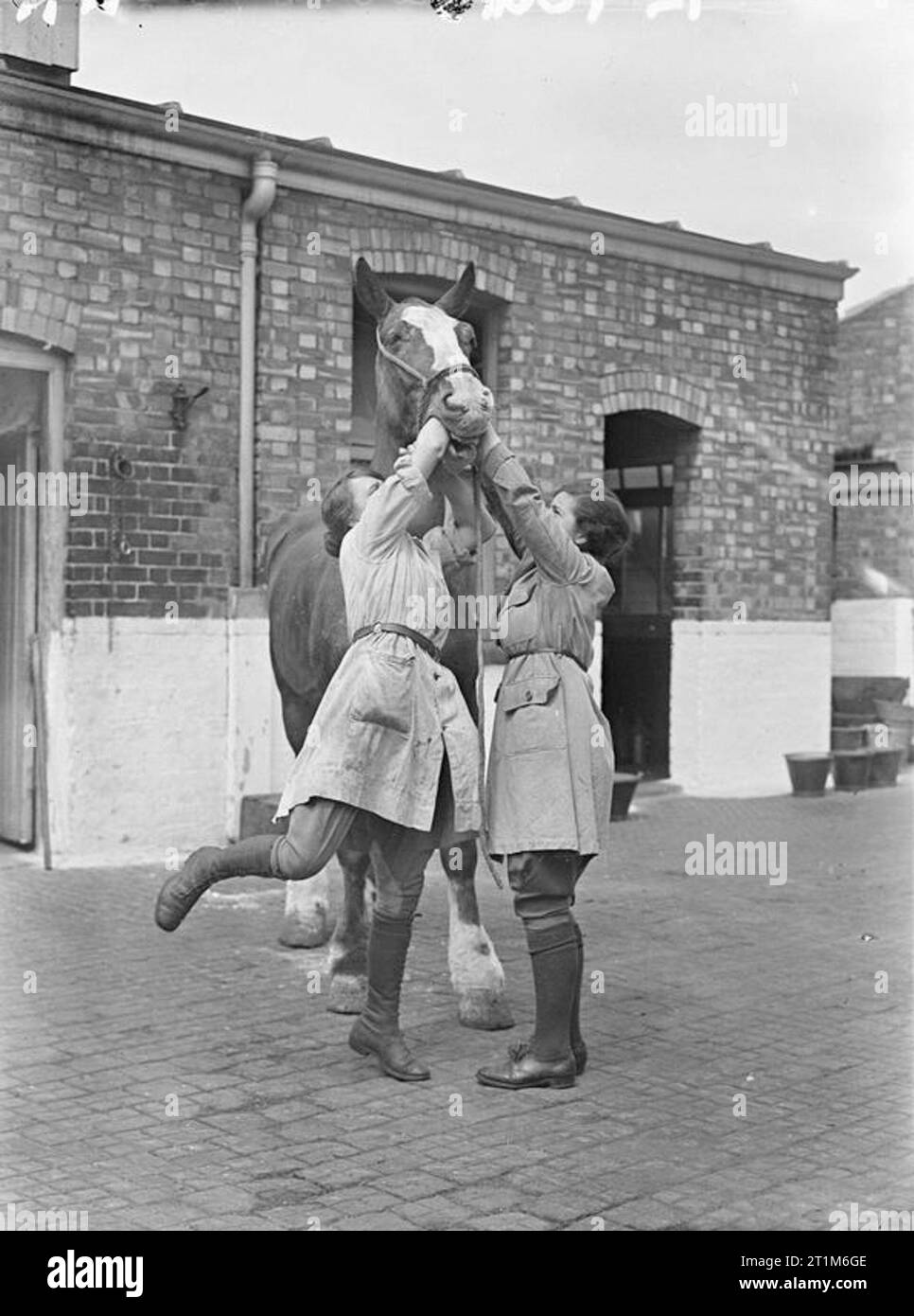 Ministry of Information First World War Official Collection Woman ...