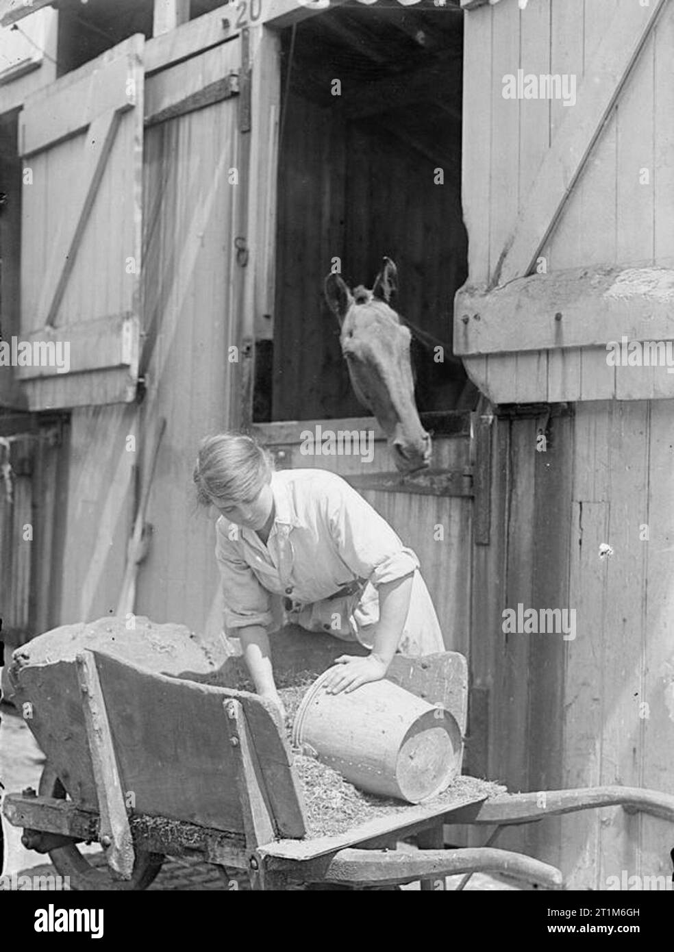 Ministry of Information First World War Official Collection Woman ...