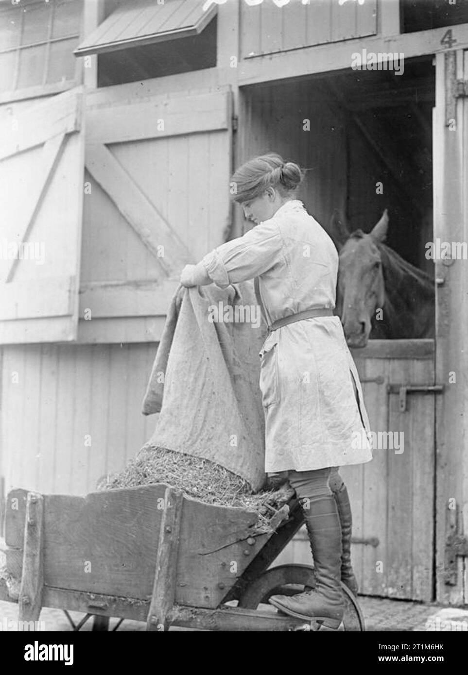 Ministry of Information First World War Official Collection Woman ...