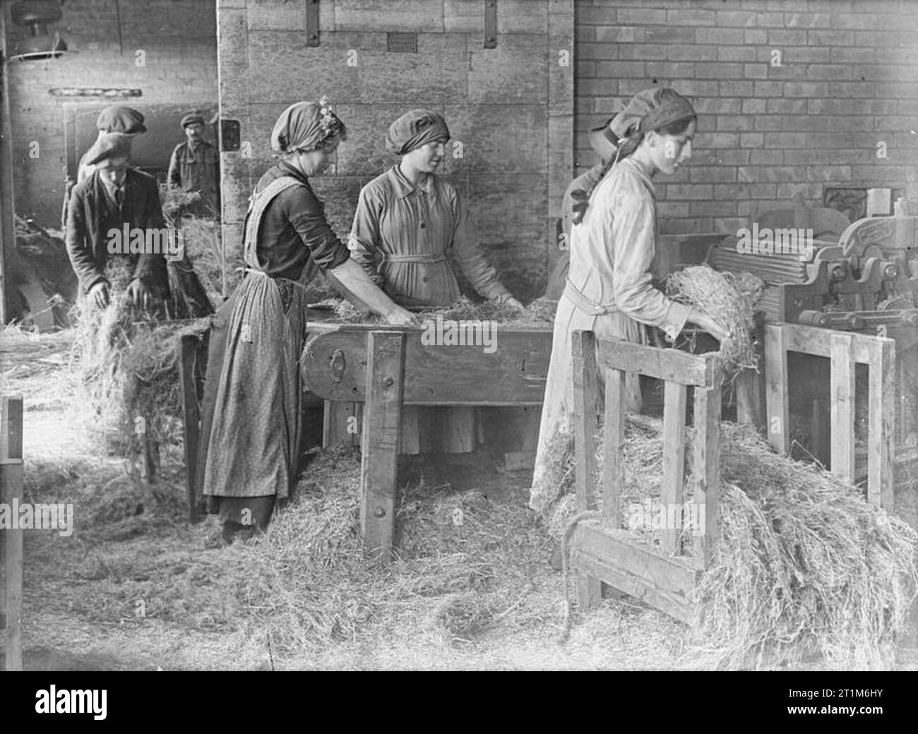 Ministry of Information First World War Official Collection College ...