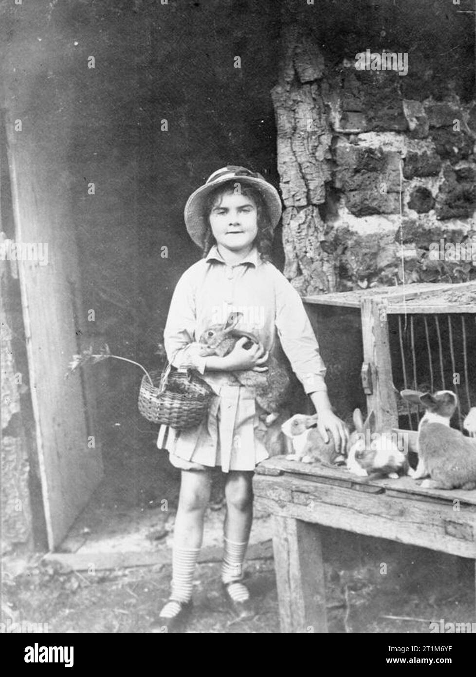 Ministry of Information First World War Official Collection A little ...