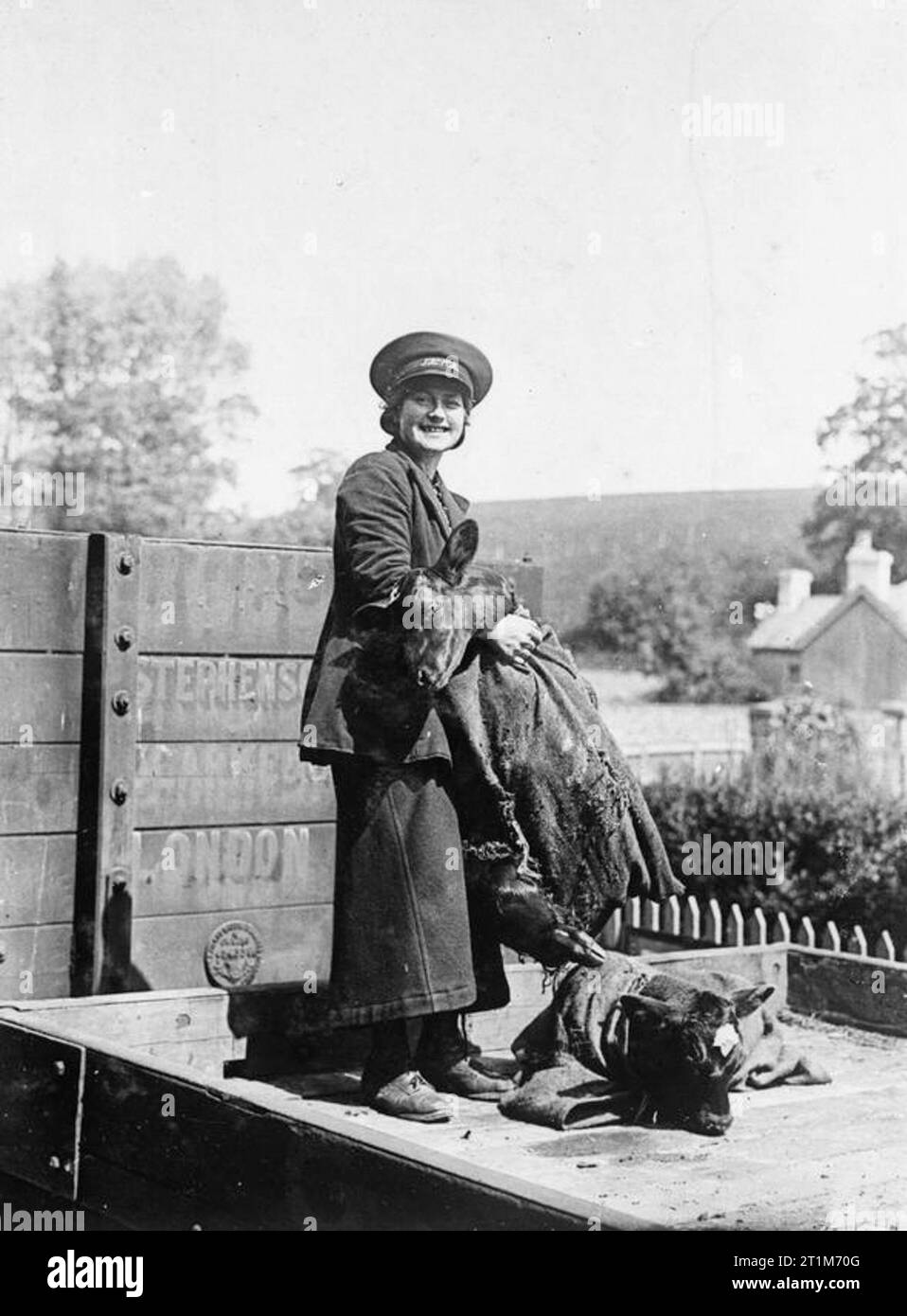 Ministry of Information First World War Official Collection A woman ...