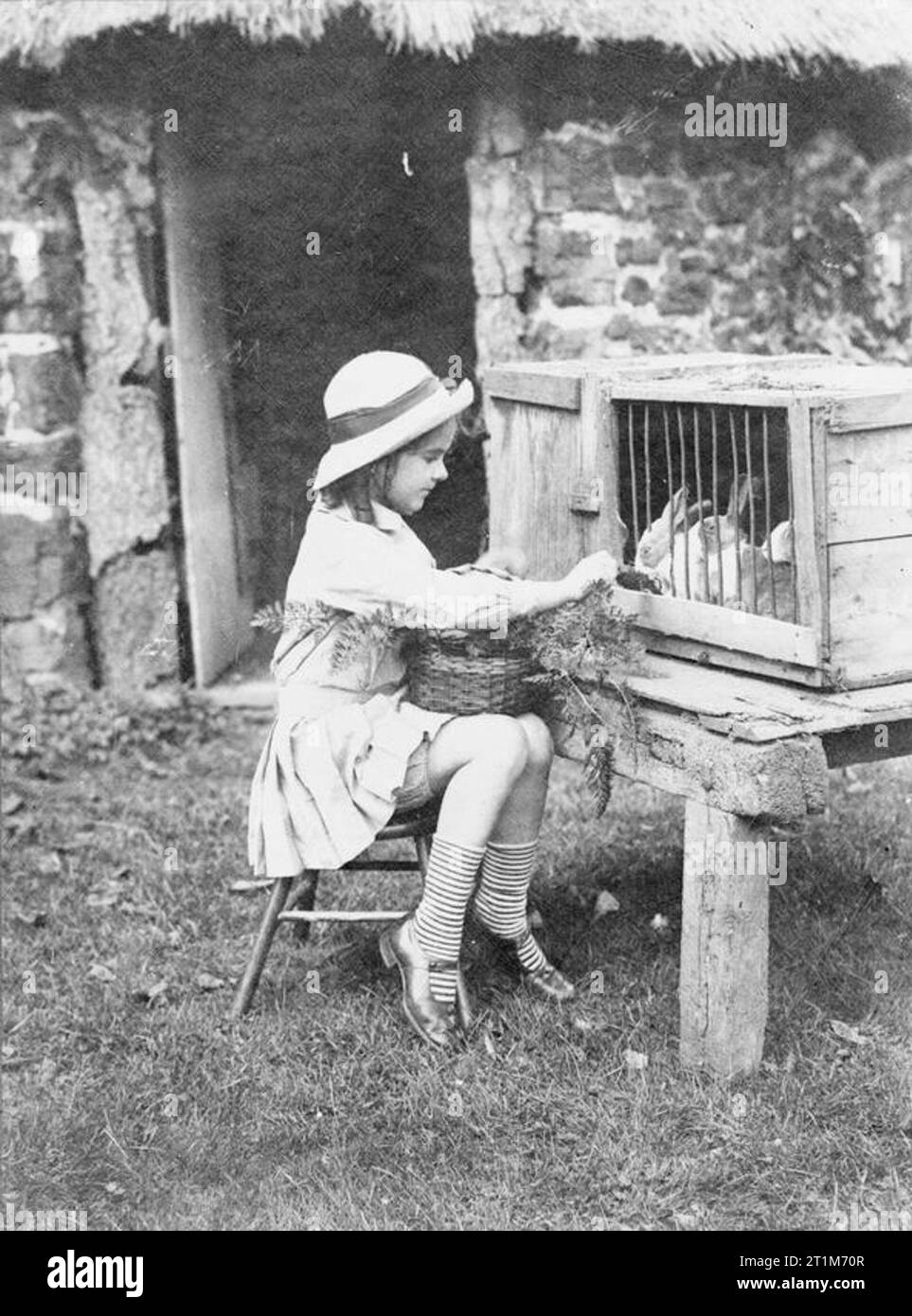 Ministry of Information First World War Official Collection A little ...