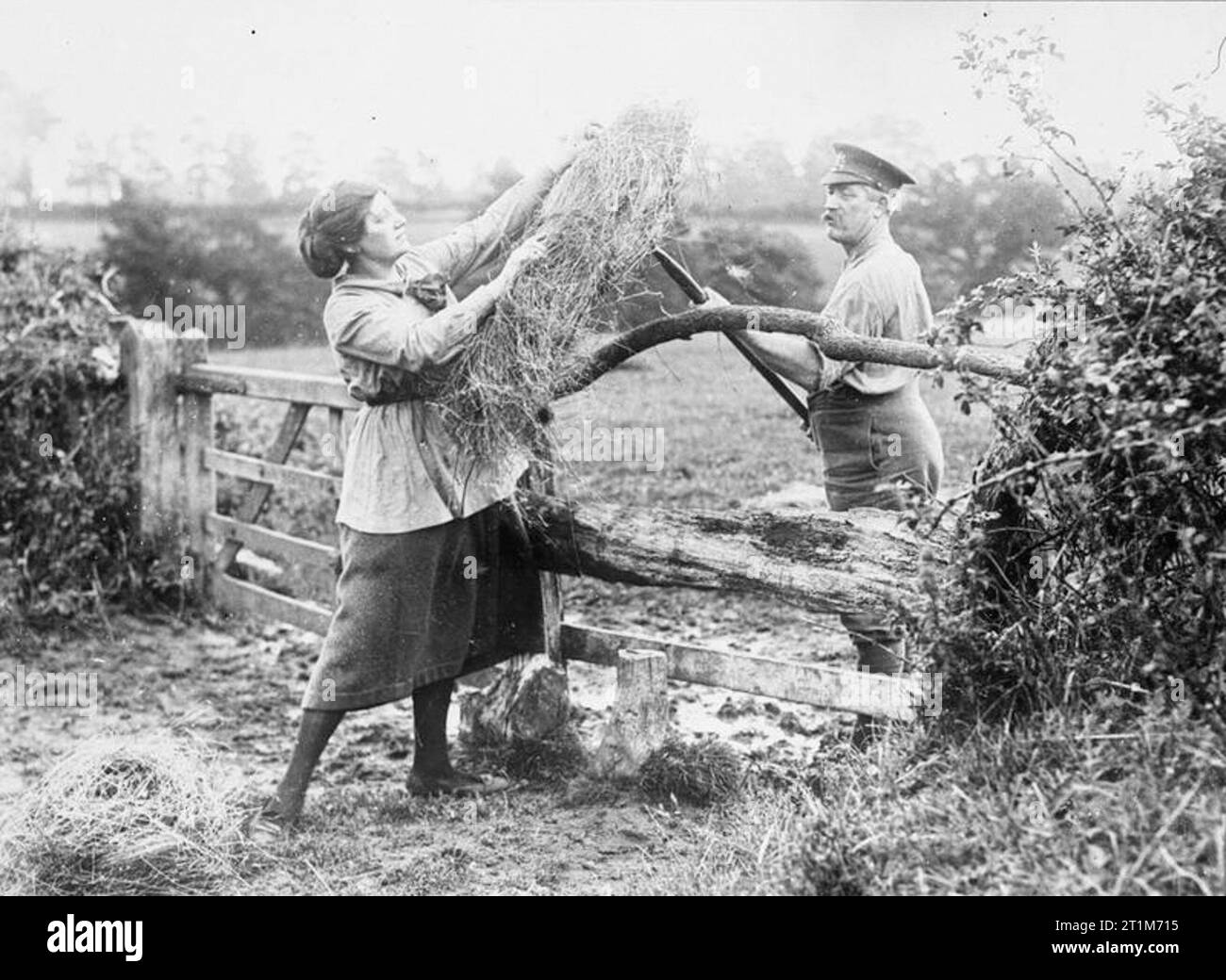 Ministry of Information First World War Official Collection British ...