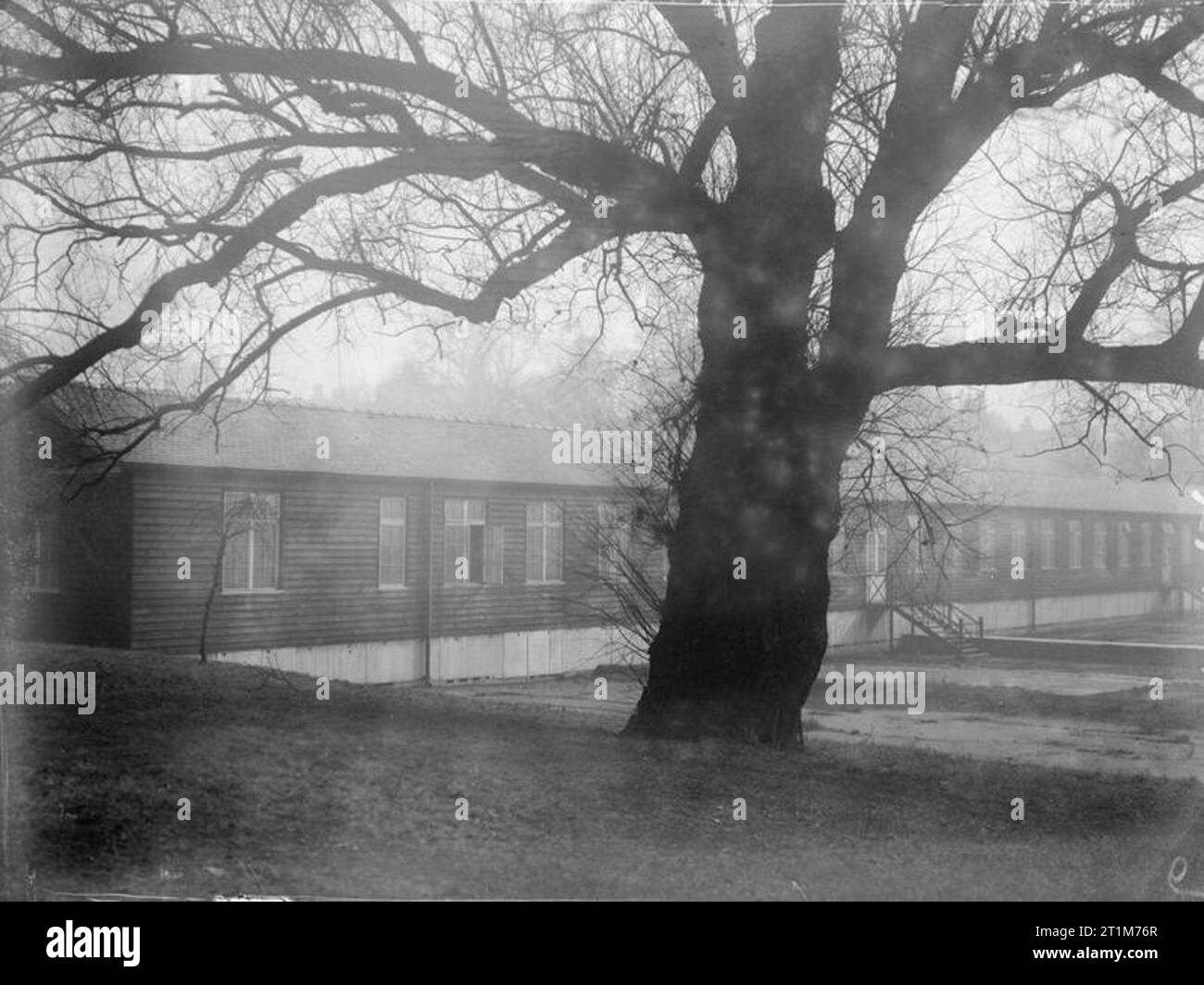 Ministry of Information First World War Official Collection ...