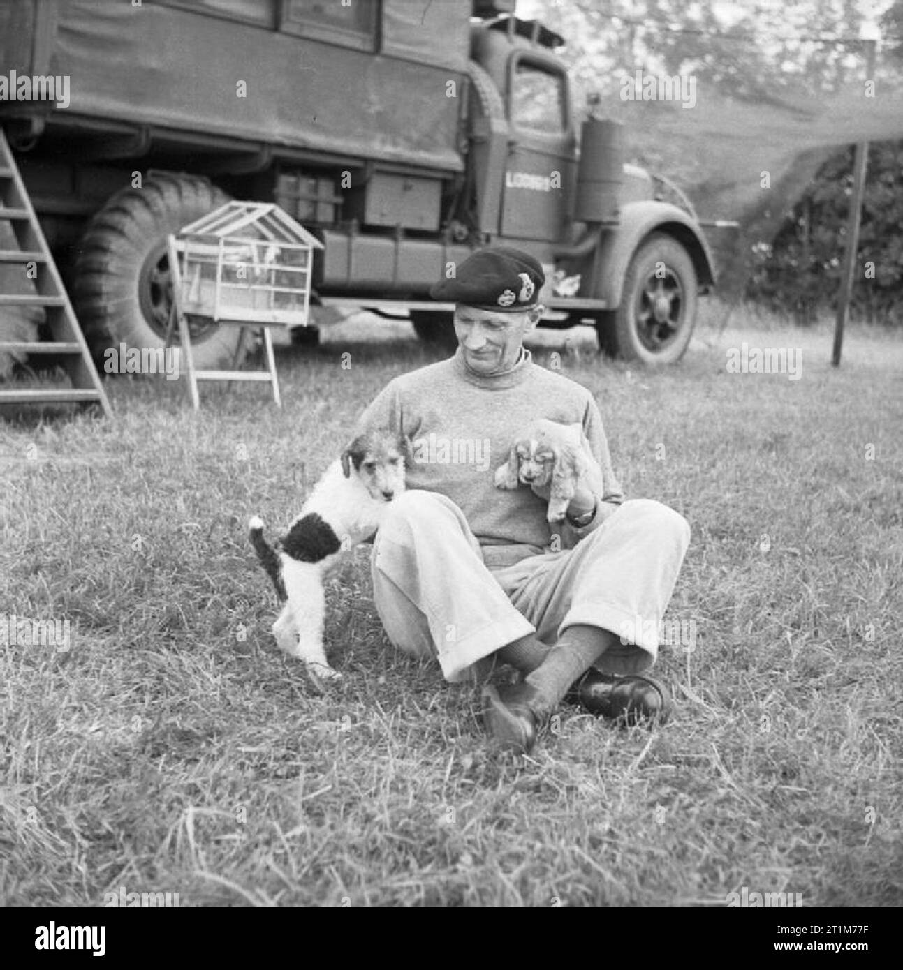 Animals in War 1939-1945 General B L Montgomery with his pets, the ...