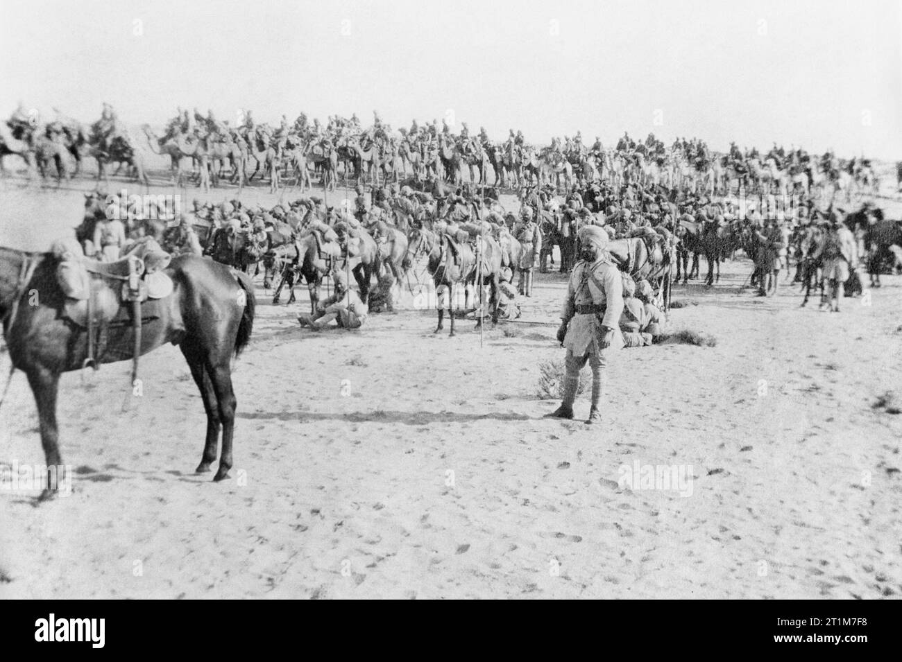 Ministry of Information First World War Official Collection Egyptian ...