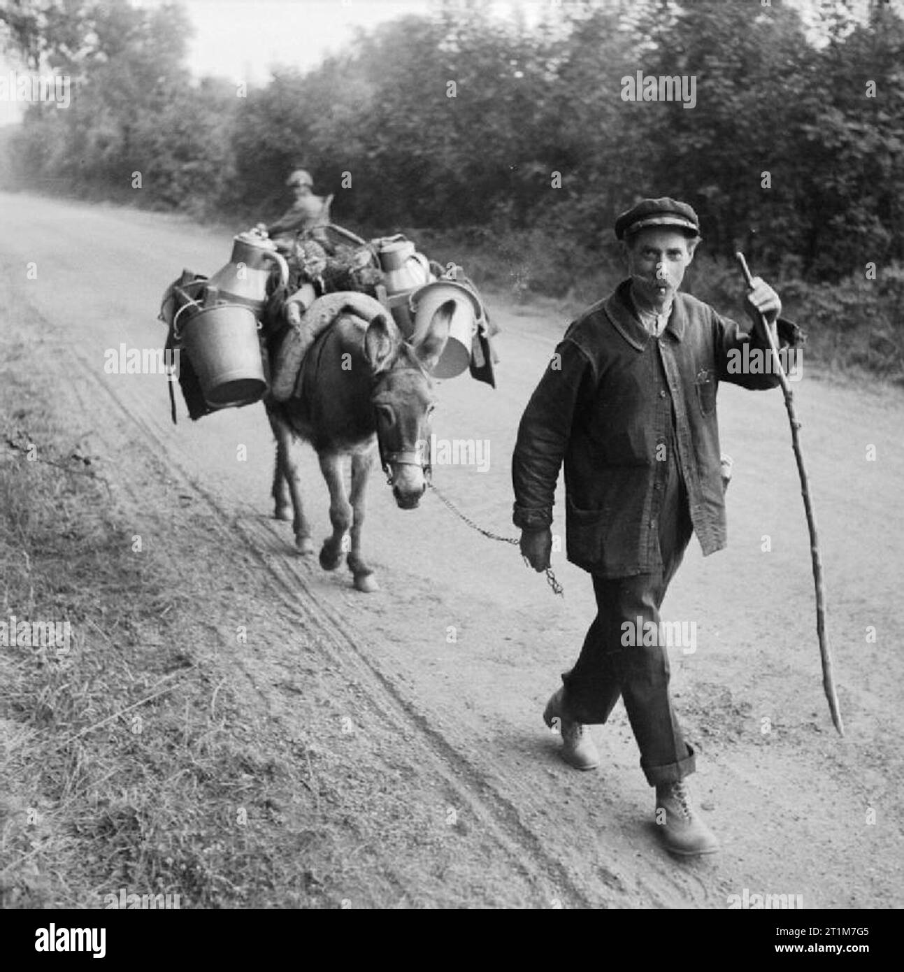 Animals in War 1939-1945 A French refugee with his possessions loaded ...