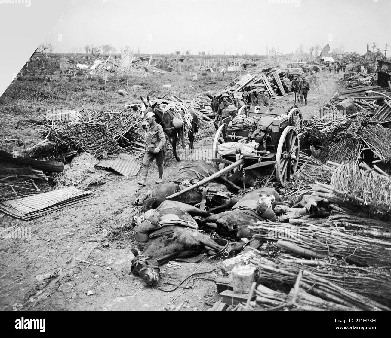The Battle of Passchendaele, July-november 1917 Stock Photo - Alamy