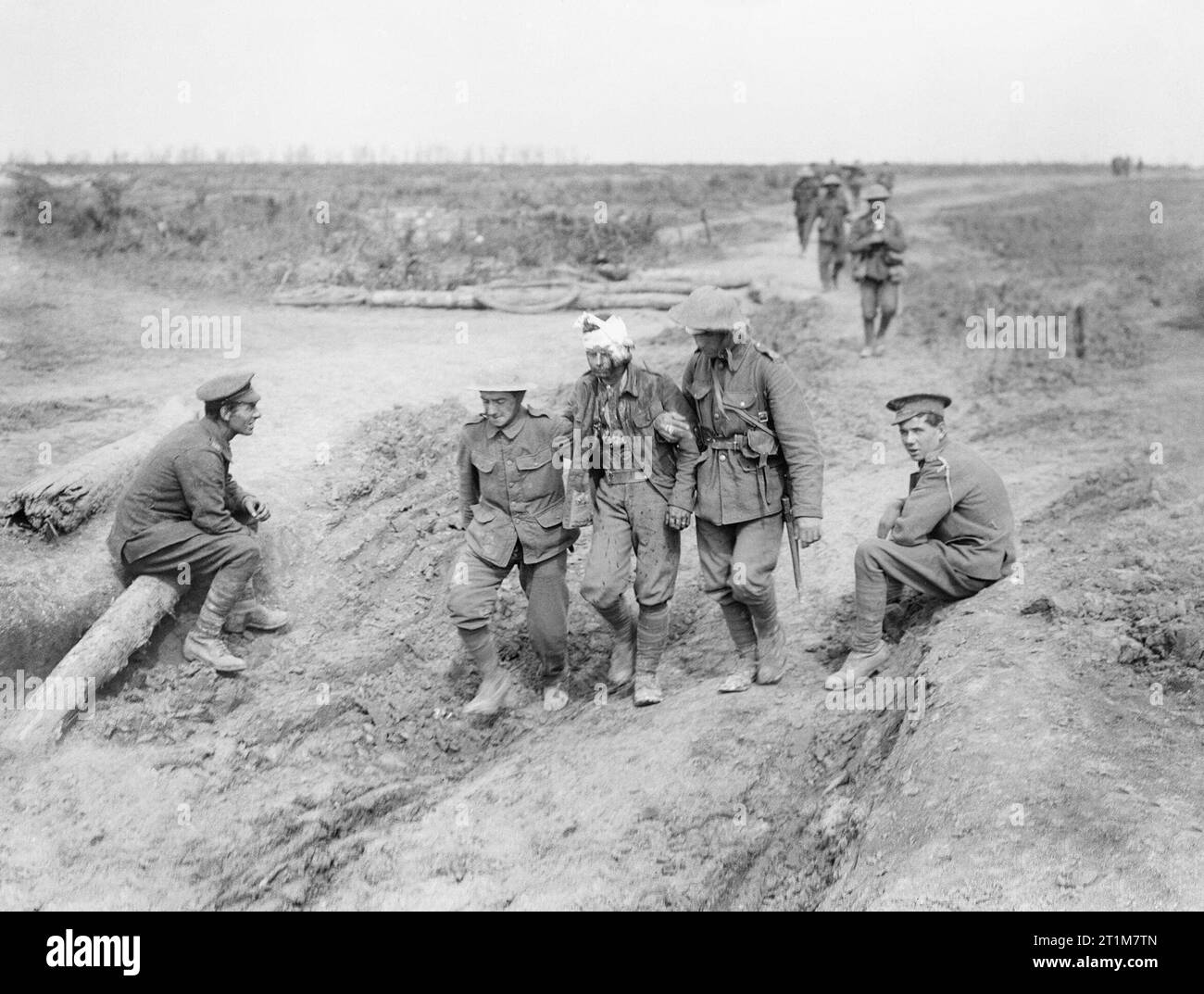 The Battle of the Somme, July-november 1916 Stock Photo - Alamy