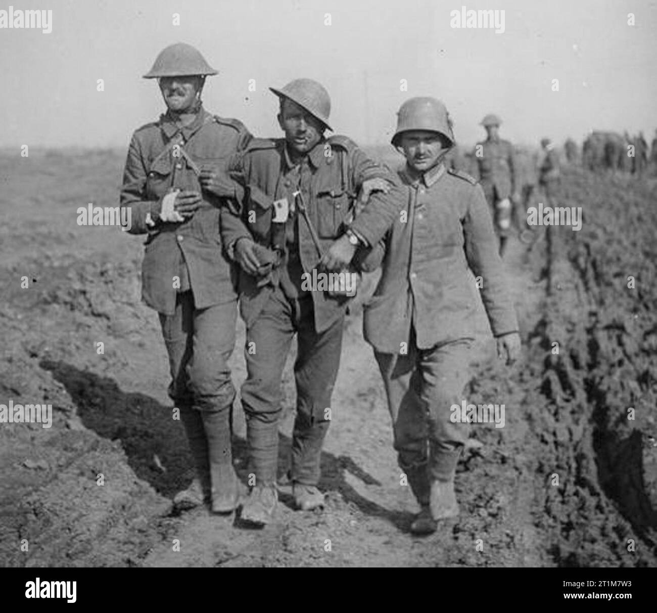 The Battle of the Somme, July-november 1916 Stock Photo - Alamy