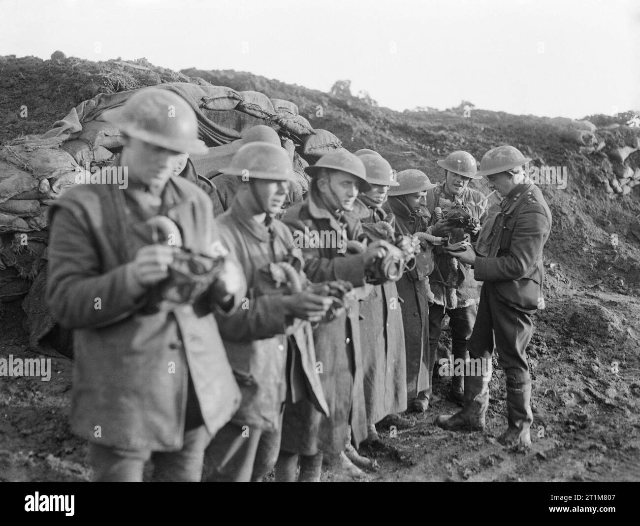 The British Army on the Western Front, 1914-1918 Stock Photo - Alamy