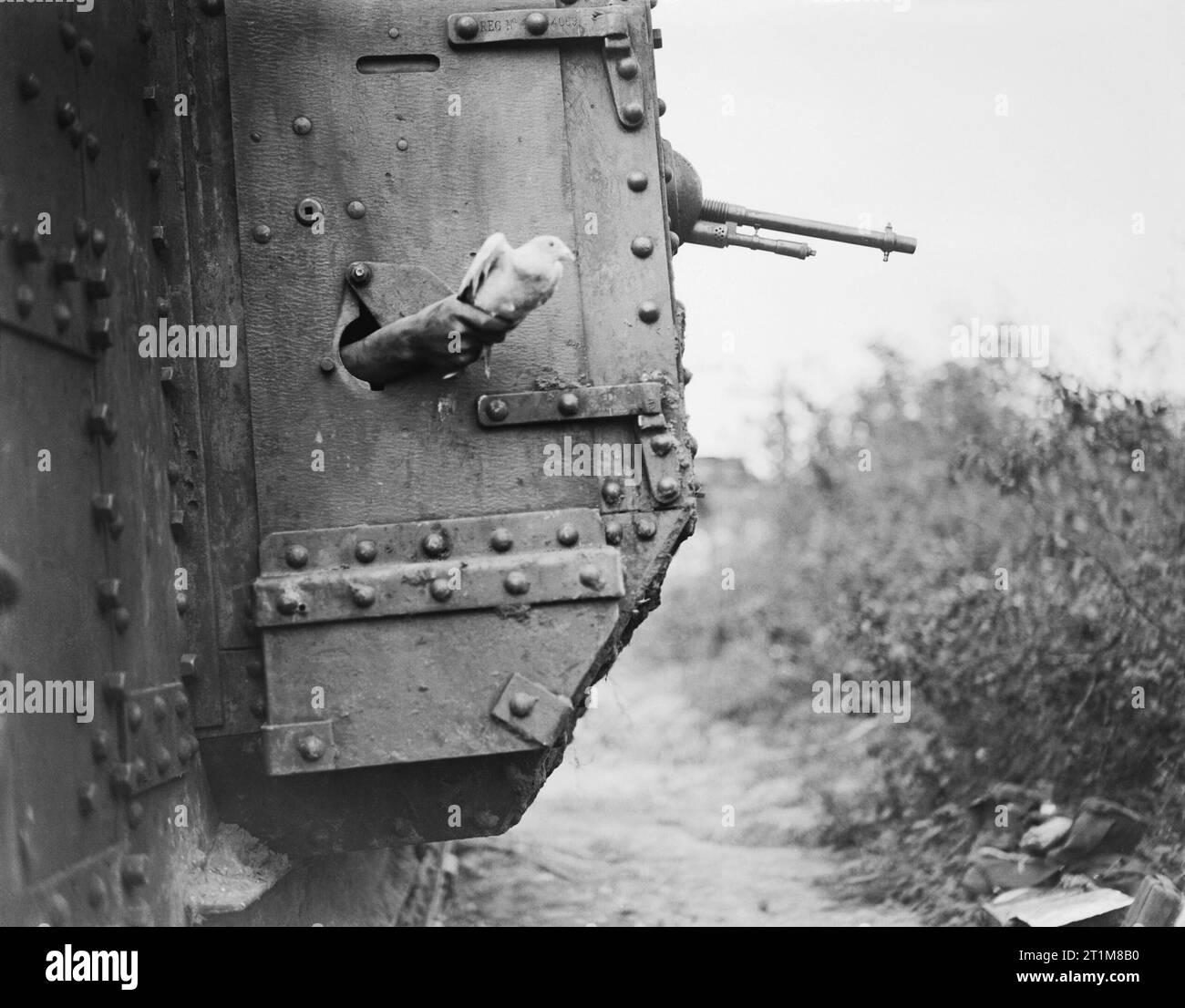 The Hundred Days Offensive, August-november 1918 Stock Photo - Alamy
