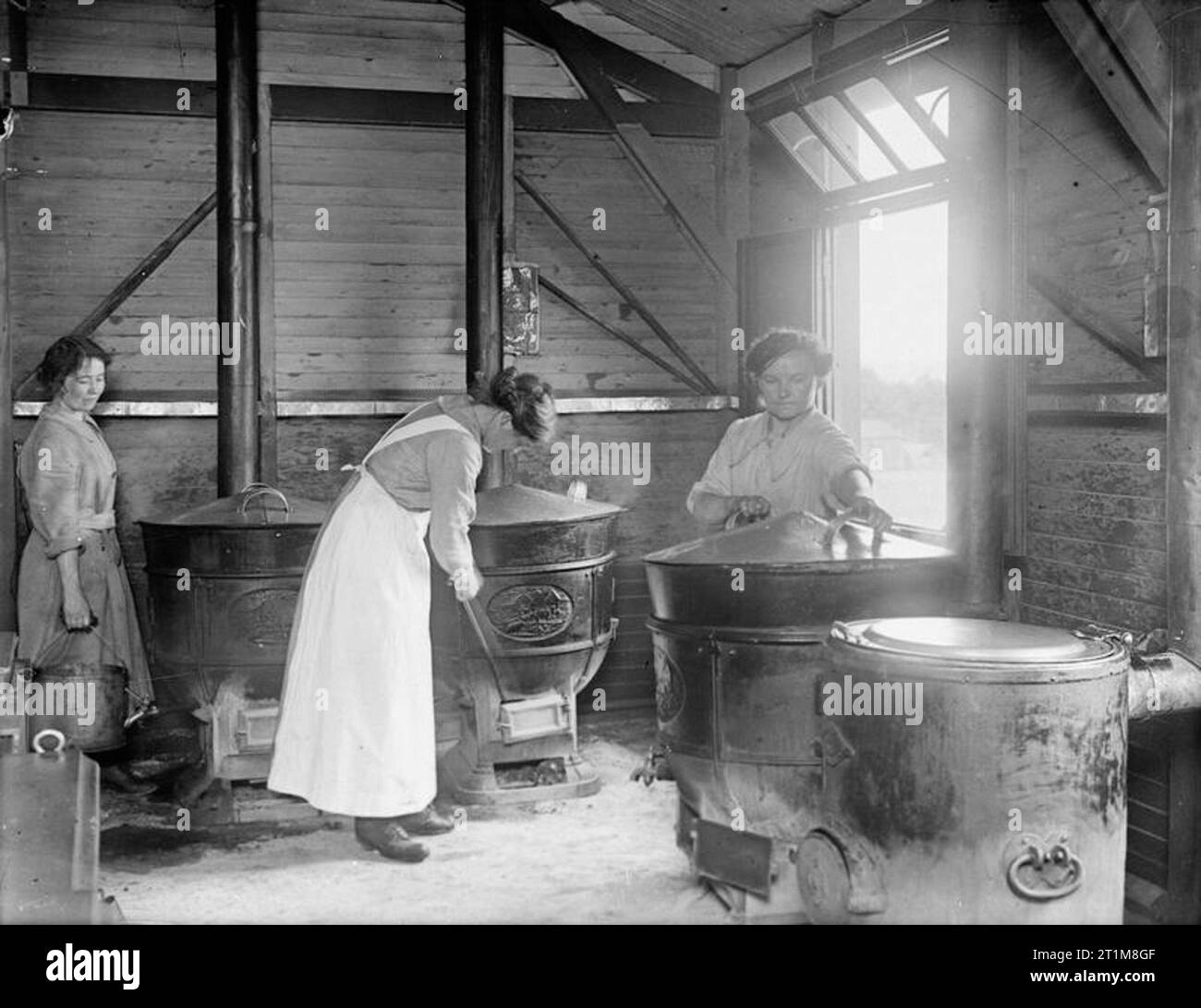 The Women's Army Auxiliary Corps during the First World War, France ...
